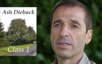 Knowledge Centre - Tree Maintenance Ltd.