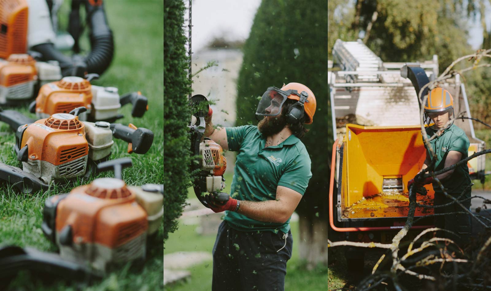 Domestic Tree Services - Tree Maintenance Ltd.