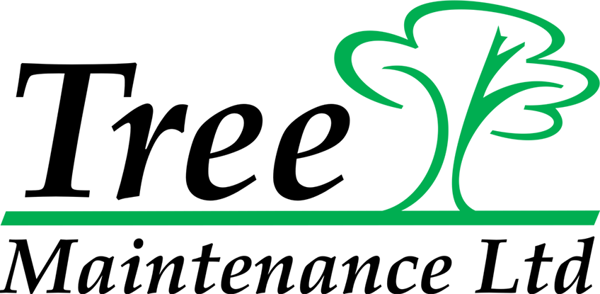 Professional Archives - Tree Maintenance Ltd.